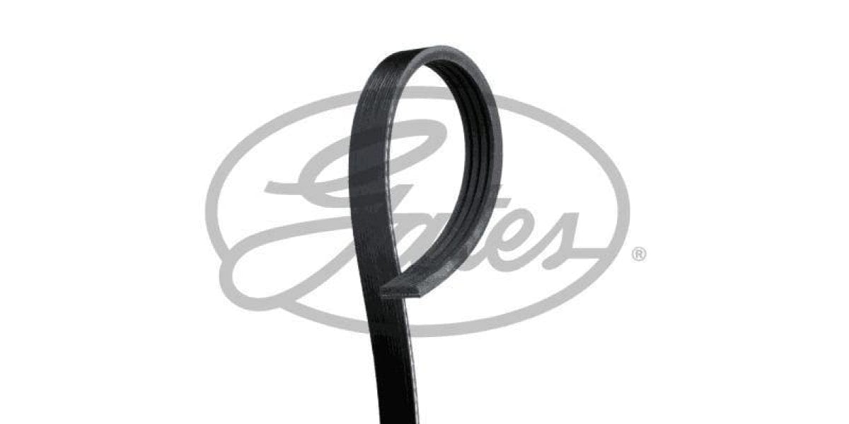Multi V Belt 4PK890 Gates Gates Belt 4PK890 Low Price South Afri